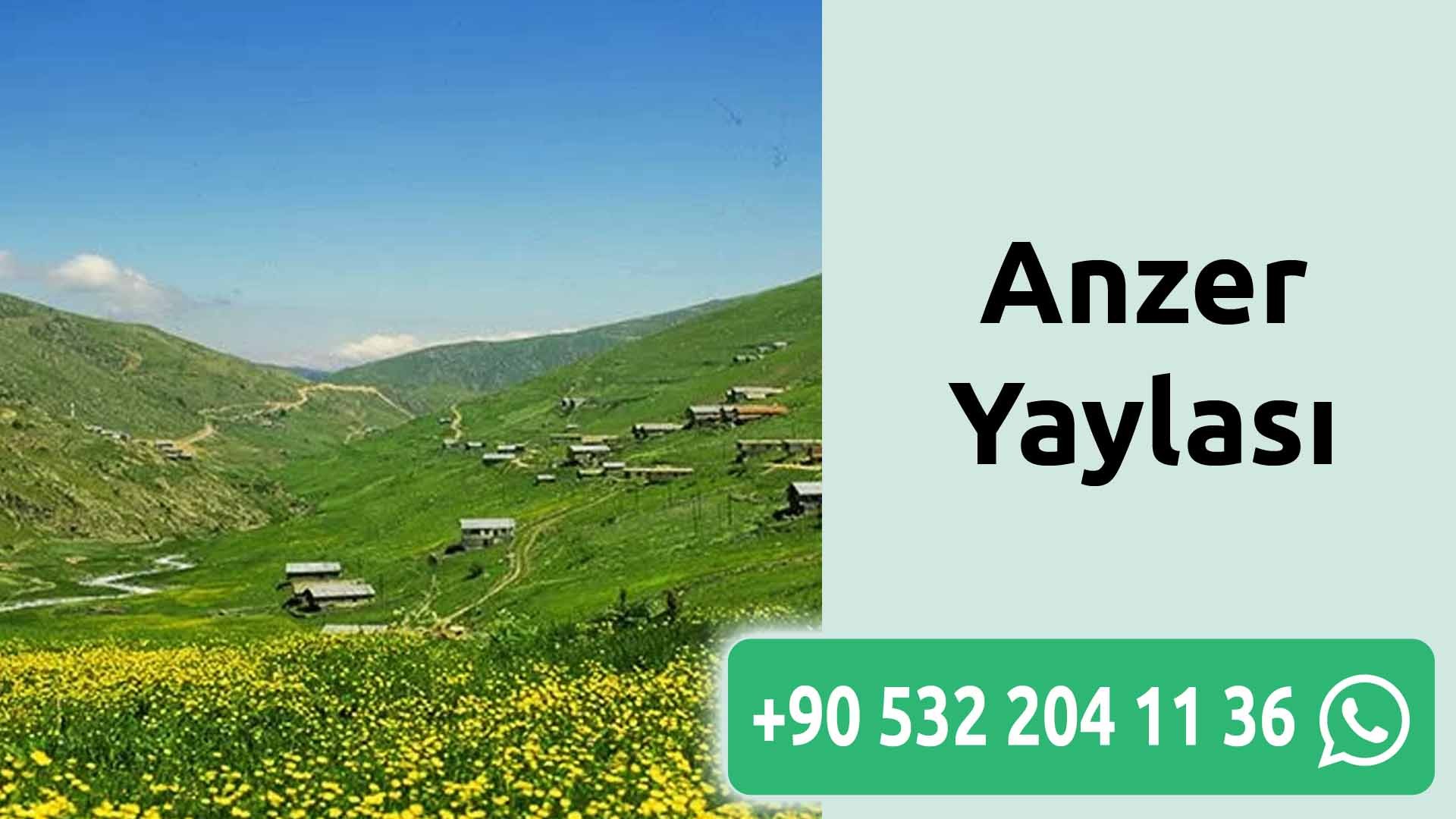 anzer yaylası, Rize Fırtına Deresi Necran Ayder Bungalow